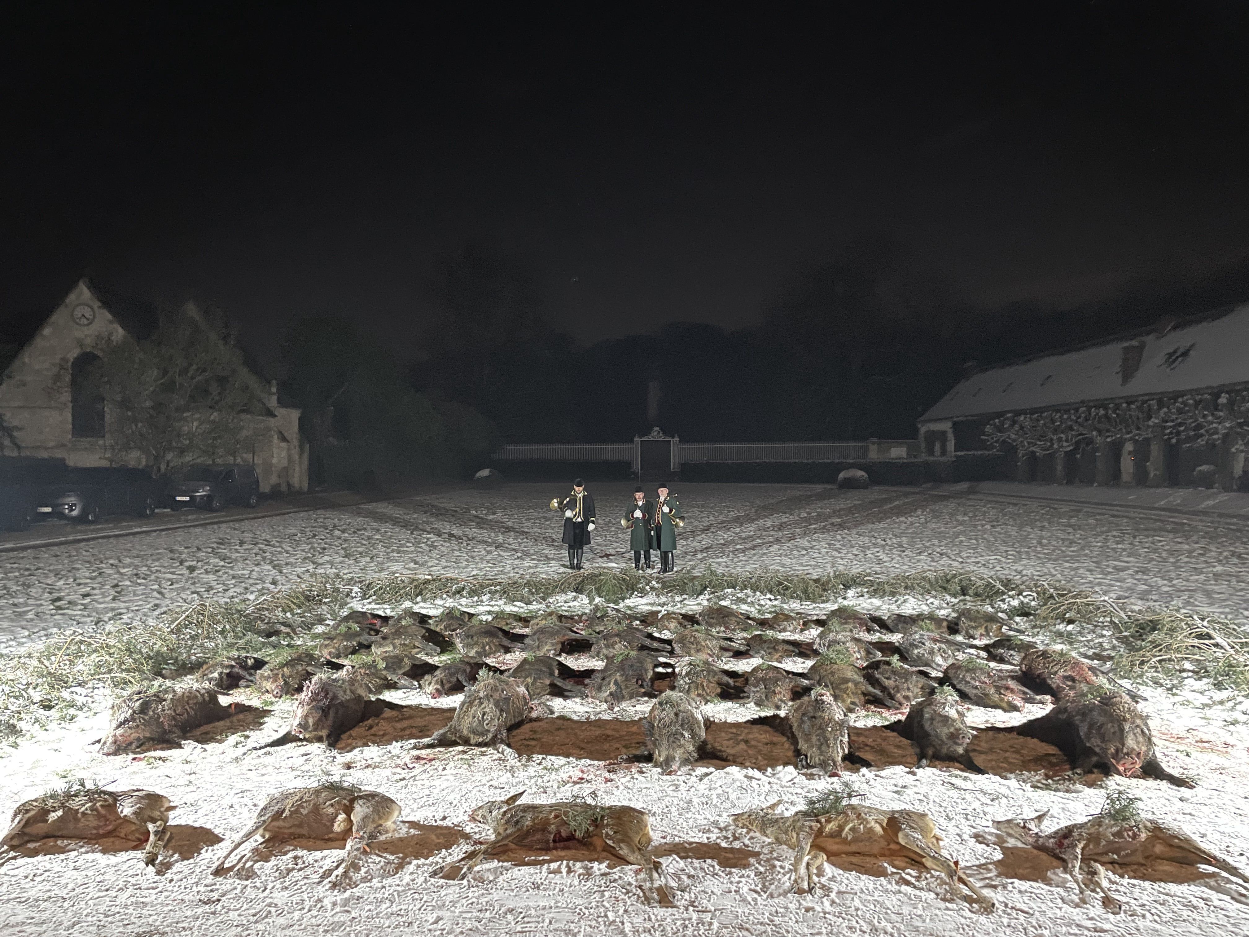 Sandricourt Estate: Wild Boar & Roe Deer Driven Shoot Near Paris