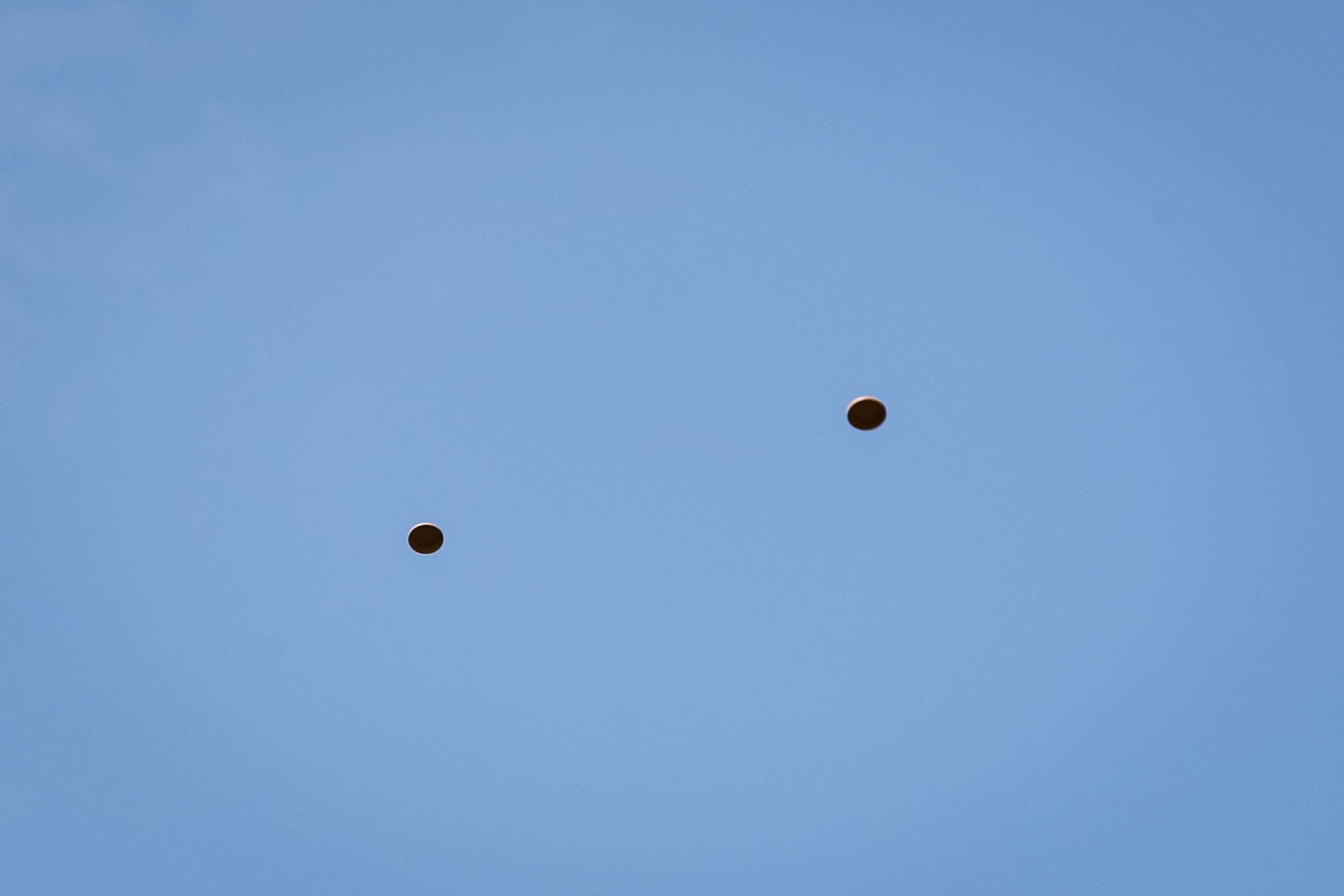 Sandricourt Estate: Simulated Game Shooting Experience Near Paris